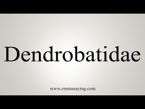 How To Say Dendrobatidae