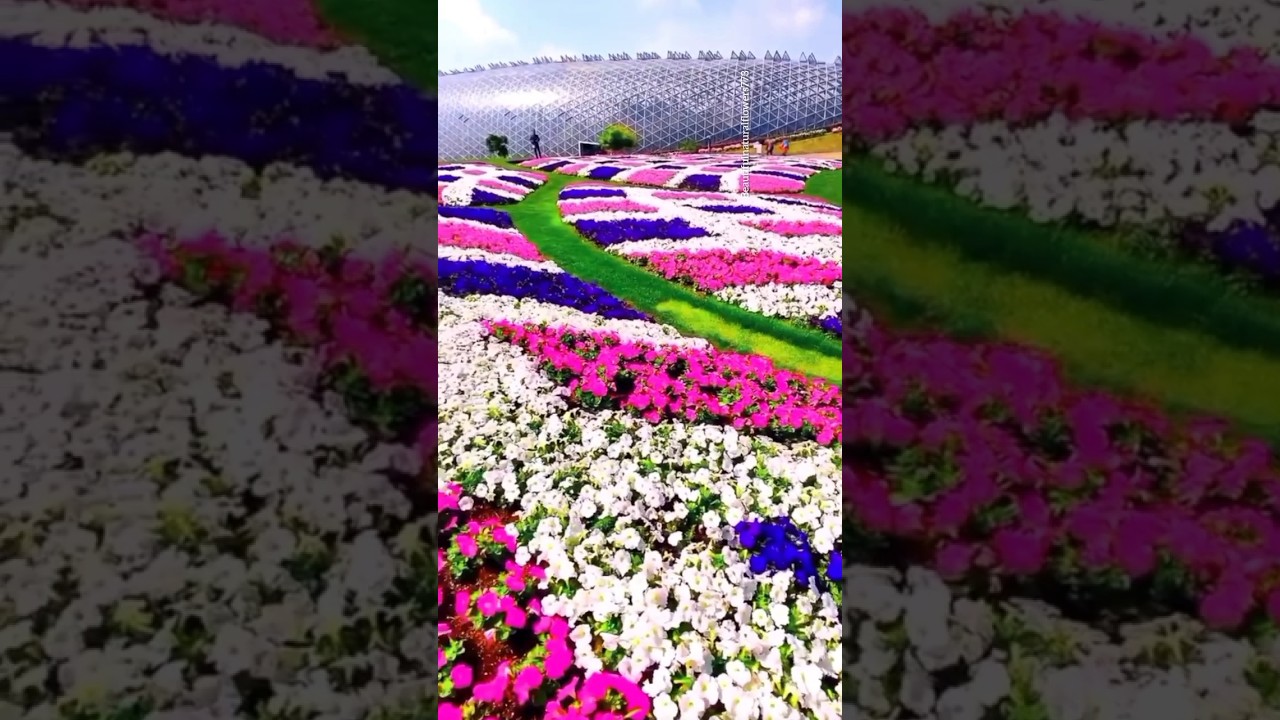 Most beautiful garden | beautiful flowers