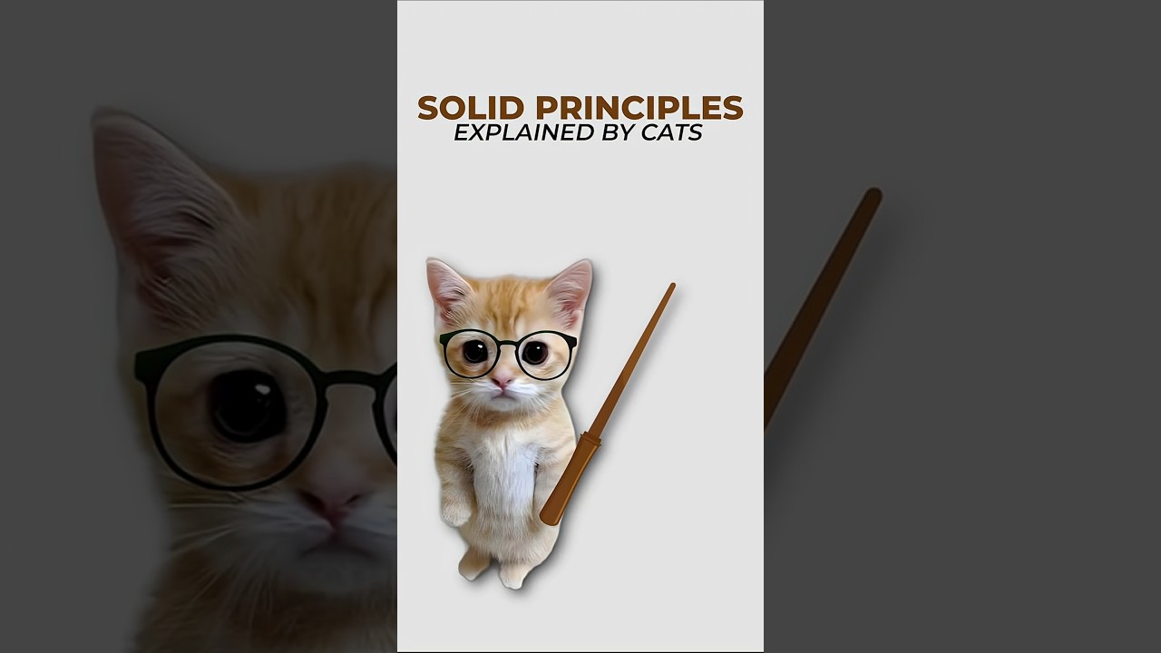 SOLID principles, explained by cats. #cat #coding #programming #solid #software