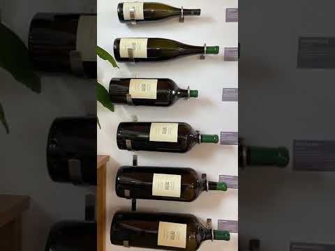 Winery #77: Domane Wachau (Wachau DAC, Austria)