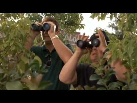 Little Giants - Super Secret Play