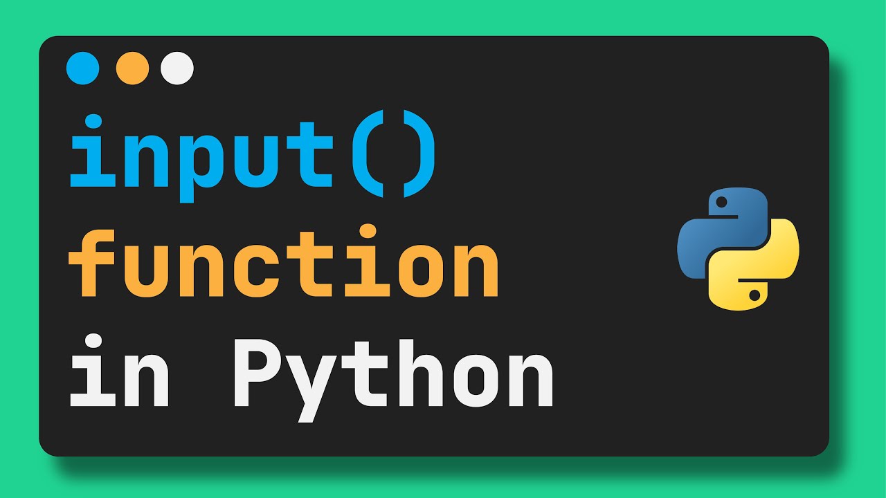 python input function | user input in python with practical example