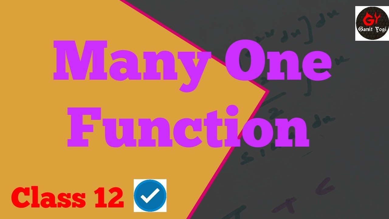 Many One Function Many One Function Examples Class 12 Cbse Maths 0115