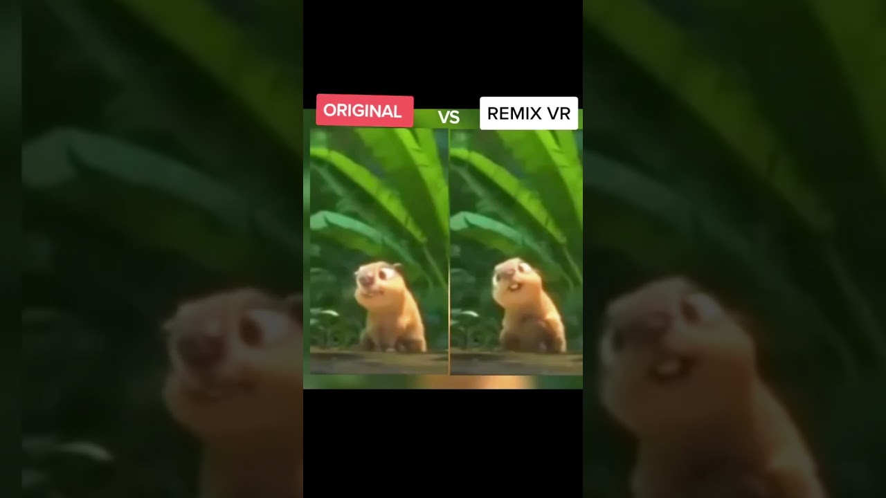 Hi my name is Clara the capybara! #rio #tiktoktrend