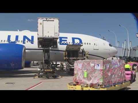 United flight from Chicago carrying supplies to Maui