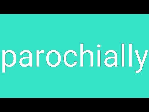 Parochially Definition & Meaning