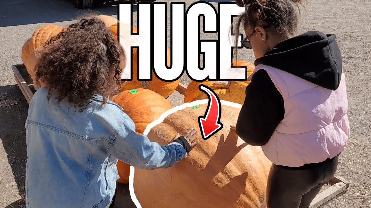 Annual Fall Pumpkin Patch Trip For Thanksgiving