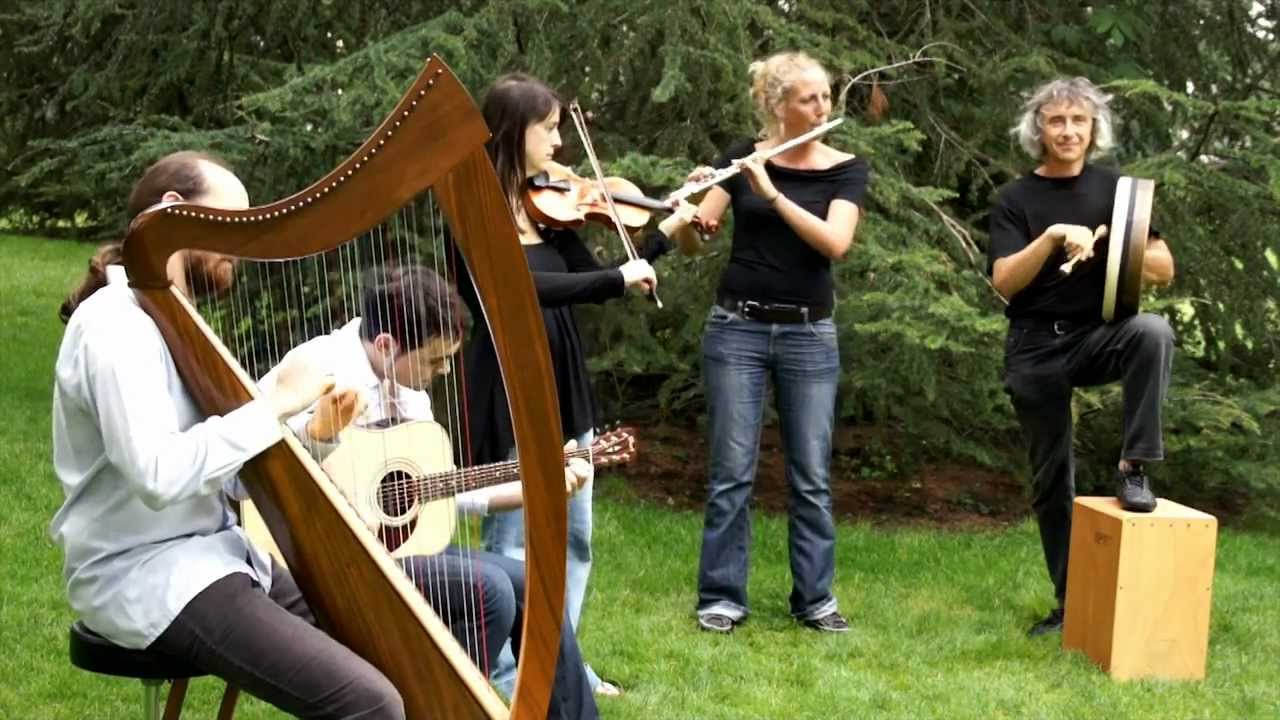 Traditional Irish Music by 