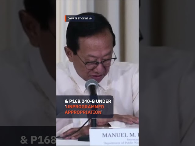 Marcos vetoes P194 billion worth of line items in 2025 national budget
