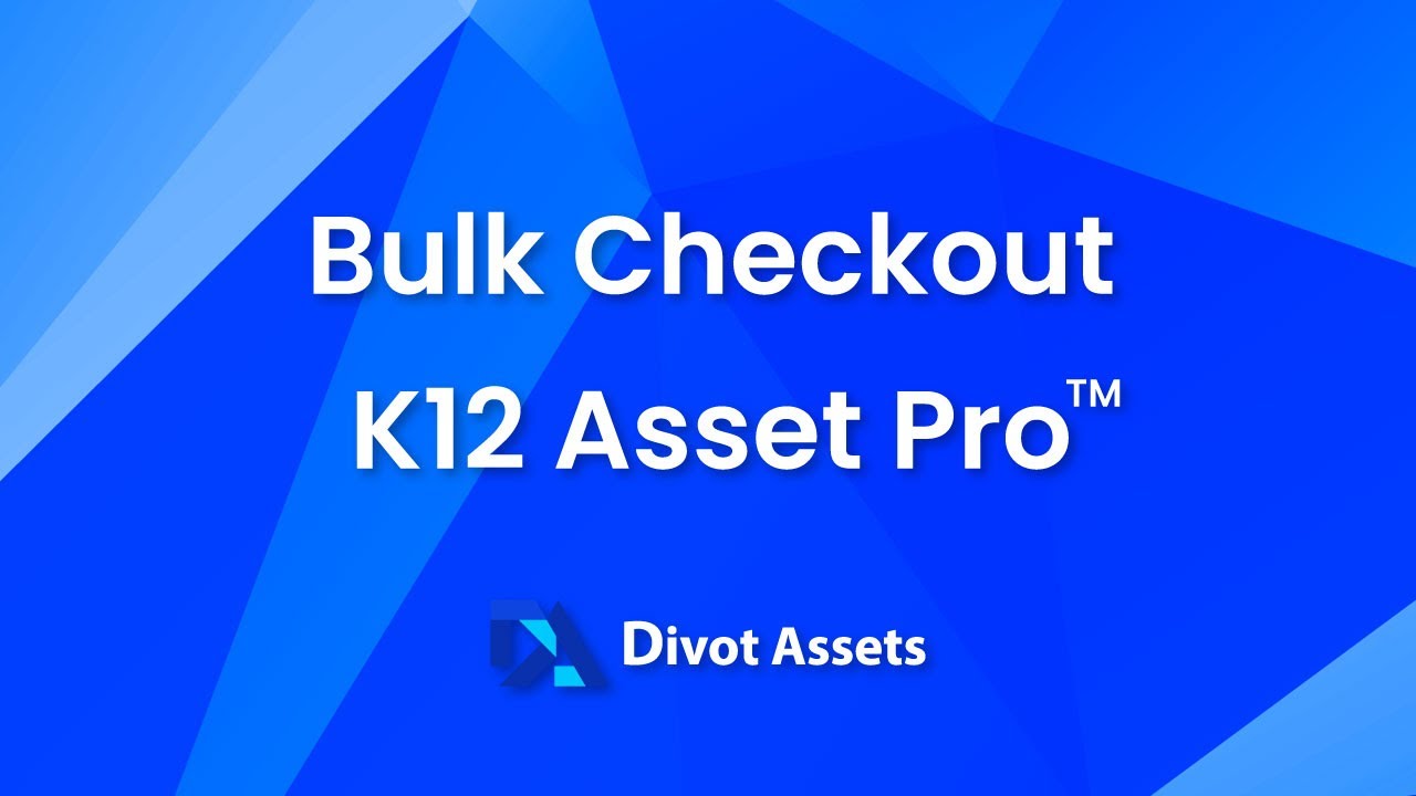 Asset Bulk Checkout Online Tutorial