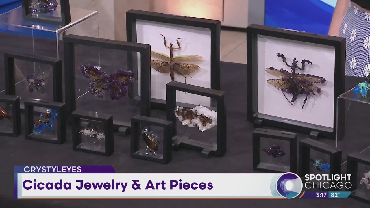 Cicada Jewelry & Art Pieces