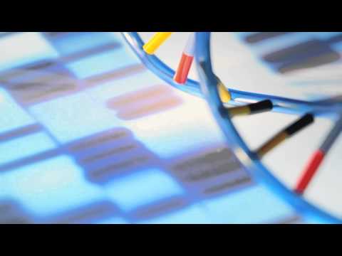 Hereditary Neuropathy Foundation - Overview