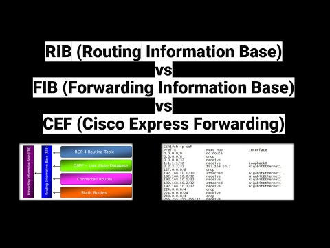 Difference Between RIB, FIB and CEF