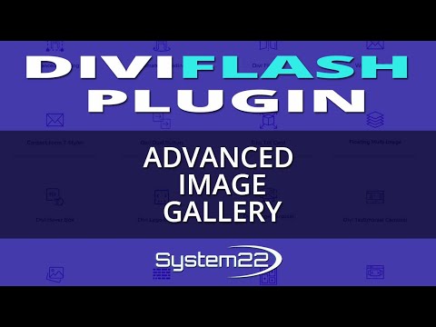 DiviFlash Plugin Advanced Image Gallery 👈