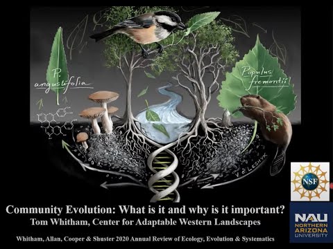 EVOLTREE Online Seminar: Thomas Whitham 'Community Evolution: What is it and why is it important?'