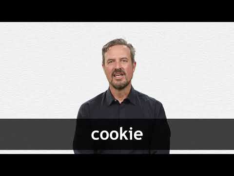 COOKIE definition and meaning | Collins English Dictionary
