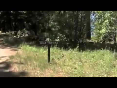 Anderson Bicycle Rentals