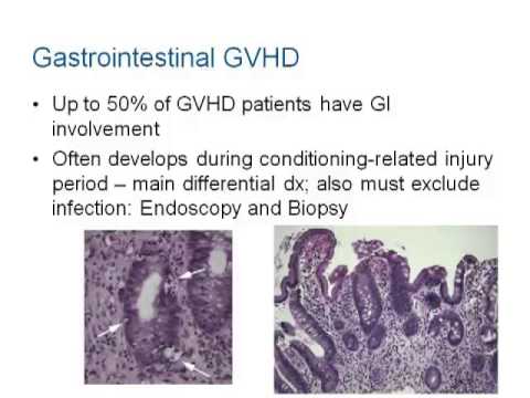 BMT 101 Lecture for APPs - NPs, PAs, Fellows and Jr Faculty