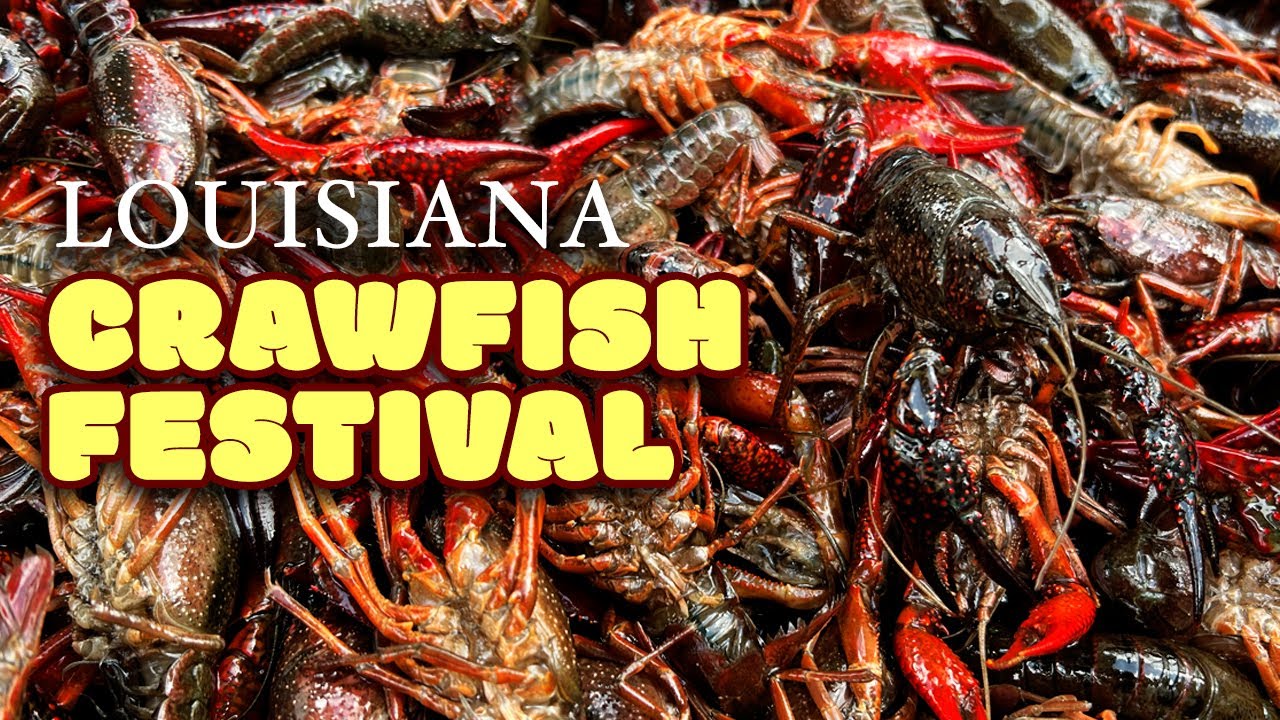 FOOD TOUR Through Louisiana's LARGEST Crawfish Festival