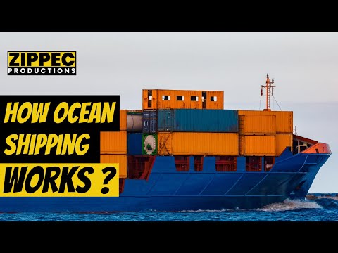 How Ocean Shipping Works | Zippec Productions