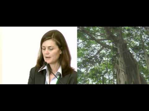 Amsterdam 2011 Presentation - Leadership - Elisabeth Brown, Jan Swinkels