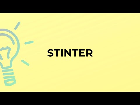 What is the meaning of the word STINTER?