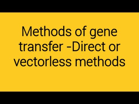 Methods of gene transfer /Direct methods of gene transfer /Class 12 /Botany