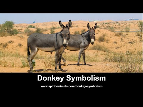 Donkey Symbolism