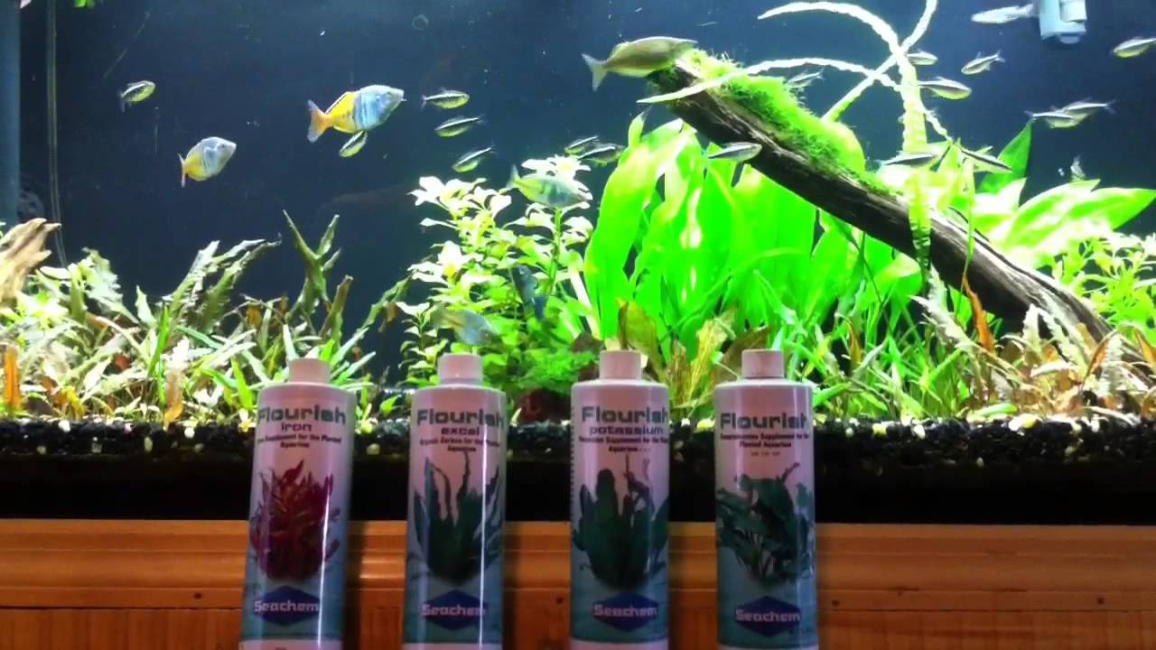 SeaChem Flourish Dosing Tips
