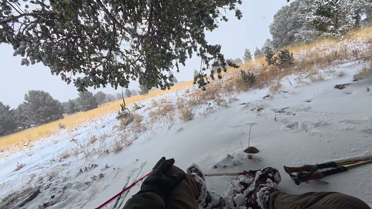 Pecos Wilderness/ Winter 2025