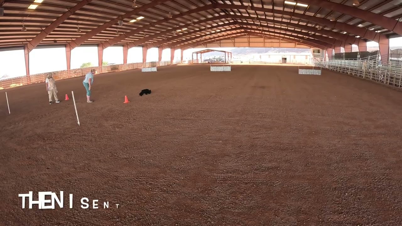 Fetch Advanced for Jilly and Aerie