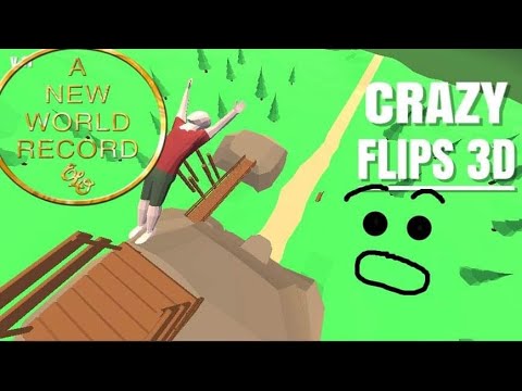 New world record in crazy flips 3D!