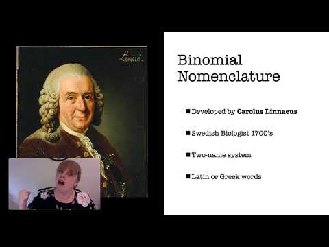 Year 7 Science - Levels of classification and binomial nomenclature