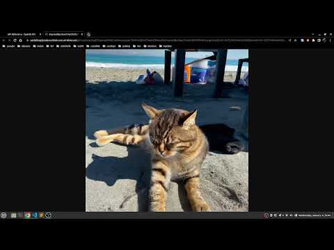 Programming - Python - using the openAI API to access chatGPT and DALL-E