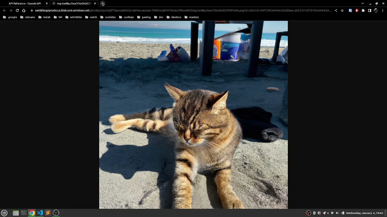 Programming - Python - using the openAI API to access chatGPT and DALL-E