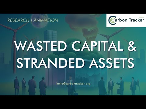 Stranded Assets in the Context of Sustainability | Sustainable ...