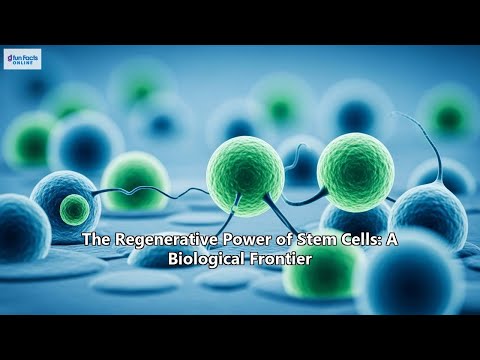 The Regenerative Power of Stem Cells: A Biological Frontier