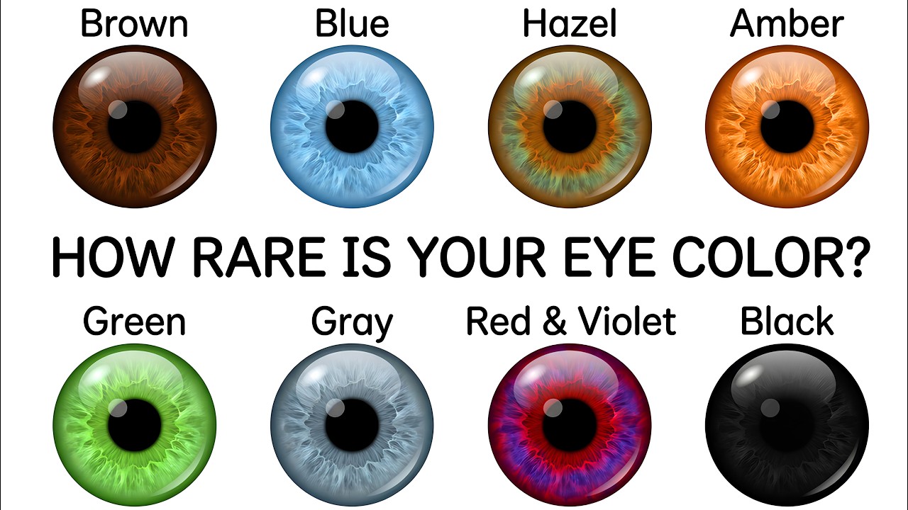 How Rare Is Your Eye Color? What It Reveals About You