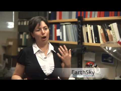 Miriam Goldstein on the Great Pacific Garbage Patch