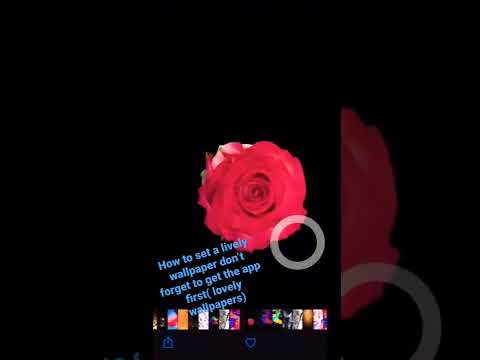 How to set a lively wallpaper(download lively wallpapers)