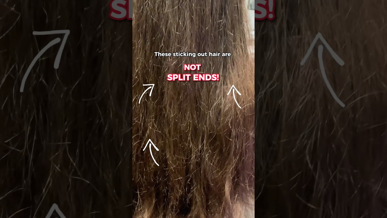 Split ends will most often be found towards the ends of your hair. #hair #splitends