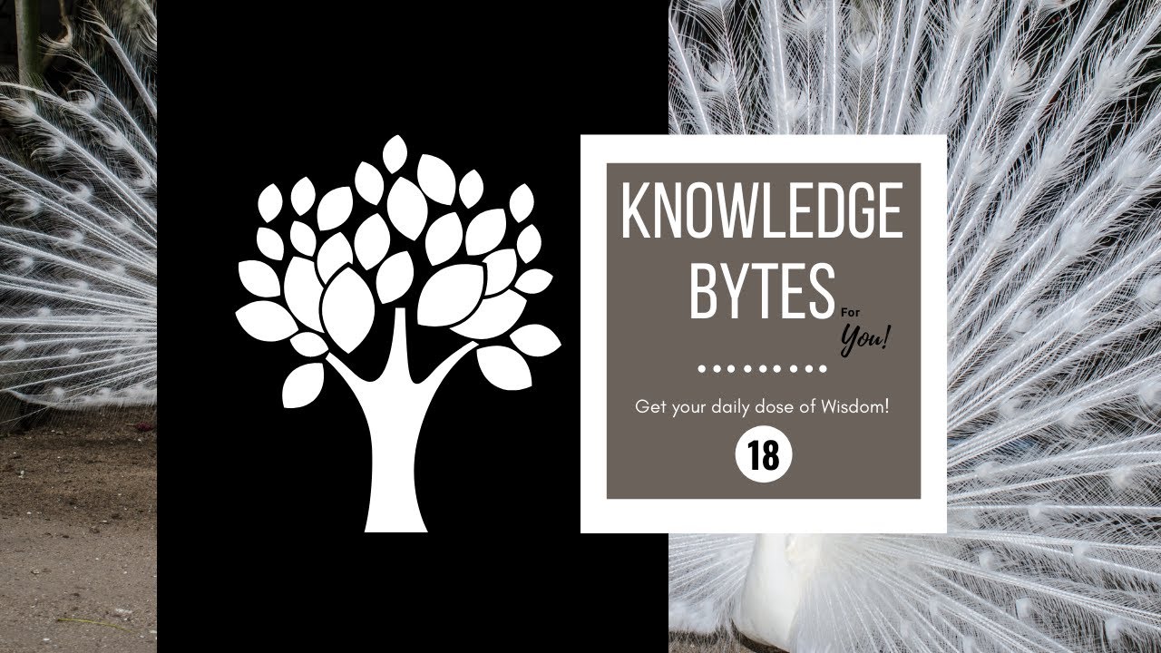 18. Knowledge Bytes - Amazing Facts