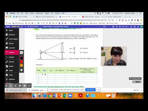 Carbon in Trees # 4 - Calculating Tree Height