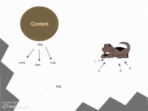 Augmentative and Alternative Communication: Focus on Content
