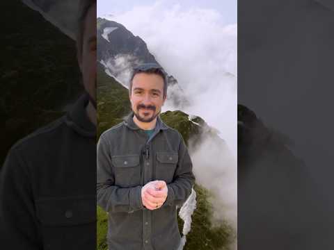 How Does Fog Form? Fog is formed in different ways but with some similarities #natureeducation