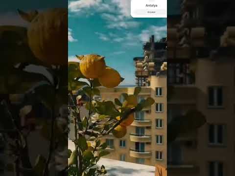 Alanya #turkey ????????#foryou #istanbul #alanya #antalya #travel #travelbeast #youtube #youtubeshorts