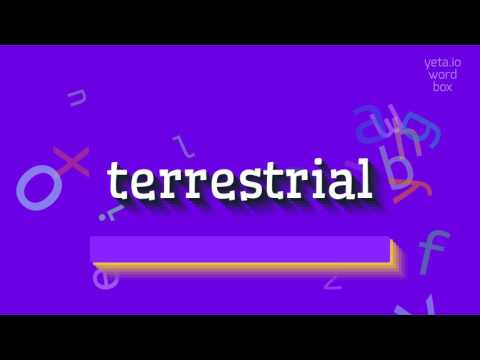 How to say "terrestrial"! (High Quality Voices)