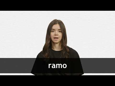 English Translation of “RAMO” | Collins Spanish-English Dictionary