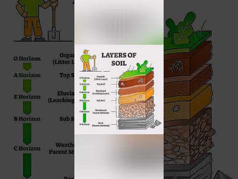 how to make soil profile