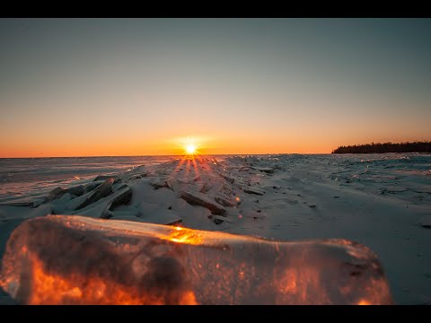 THE VIEWPOINT in photography - ELEMENTS OF COMPOSITION